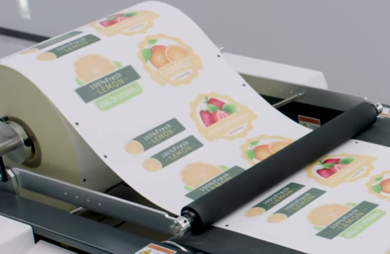 Eclipse S Series 30cm DTF Roll Attachment – Cutworx USA